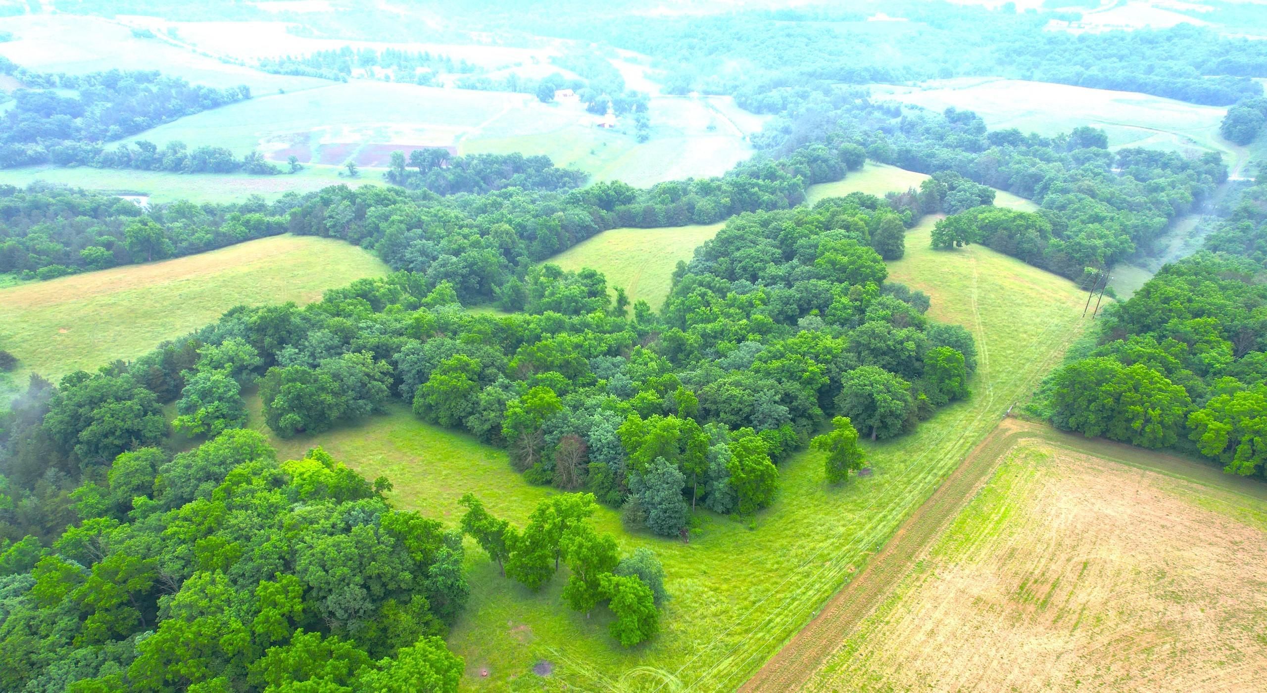 TBD Pleasant View Road, Decorah, IA 52101 | Land and Farm