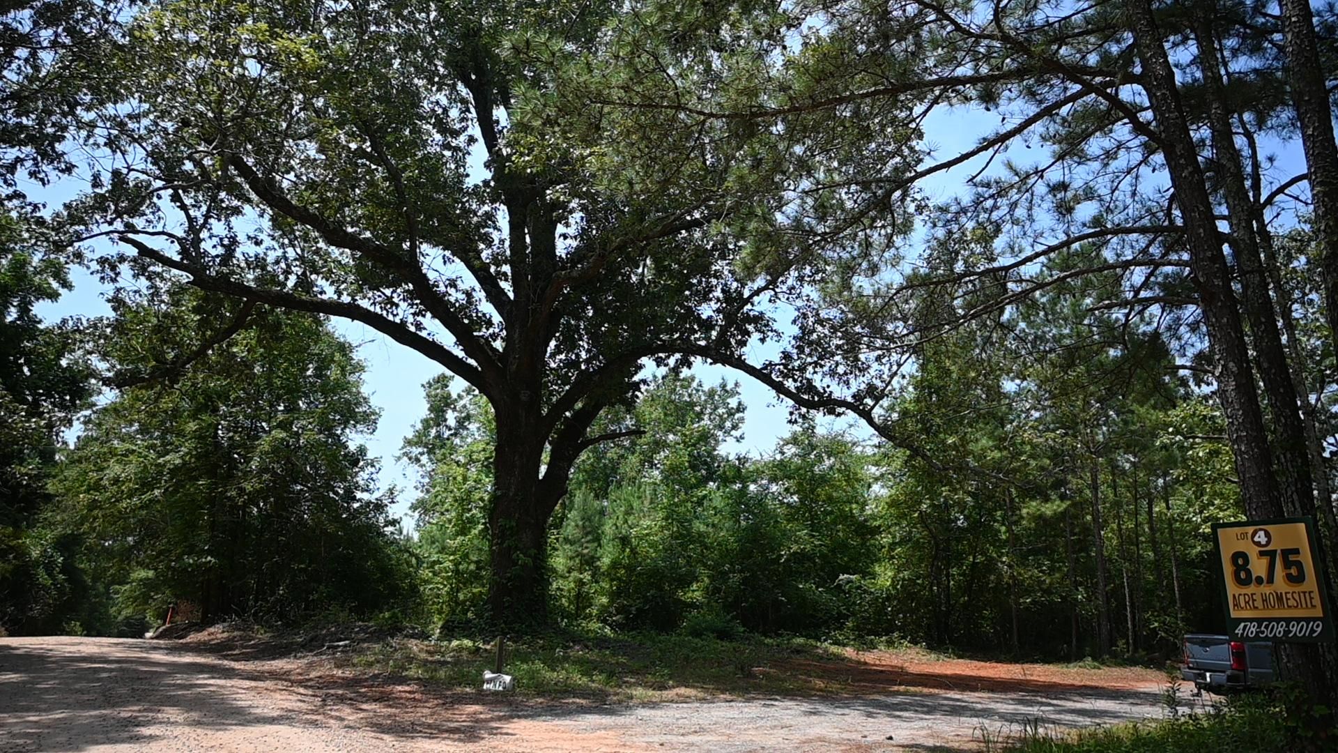 Perkins Road, Barnesville, GA 30204 | Land and Farm