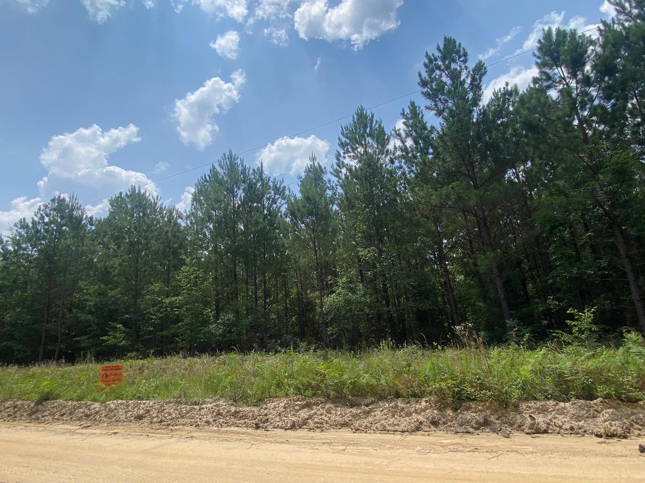 24.01 Acres, Archie Ware Road, Trenton, SC 29847 | Land and Farm