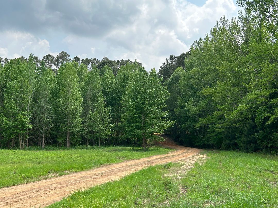 27 Acres, County Road 4683, Atlanta, TX 75551 | Land and Farm