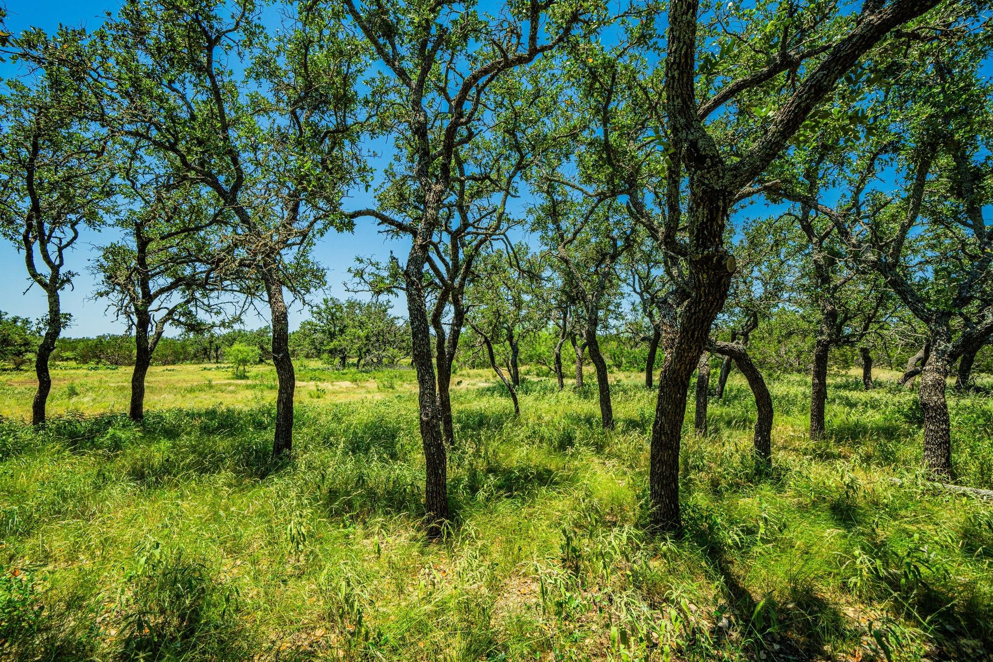 2027 Back Country Rd, Junction, TX 76849 | Land and Farm