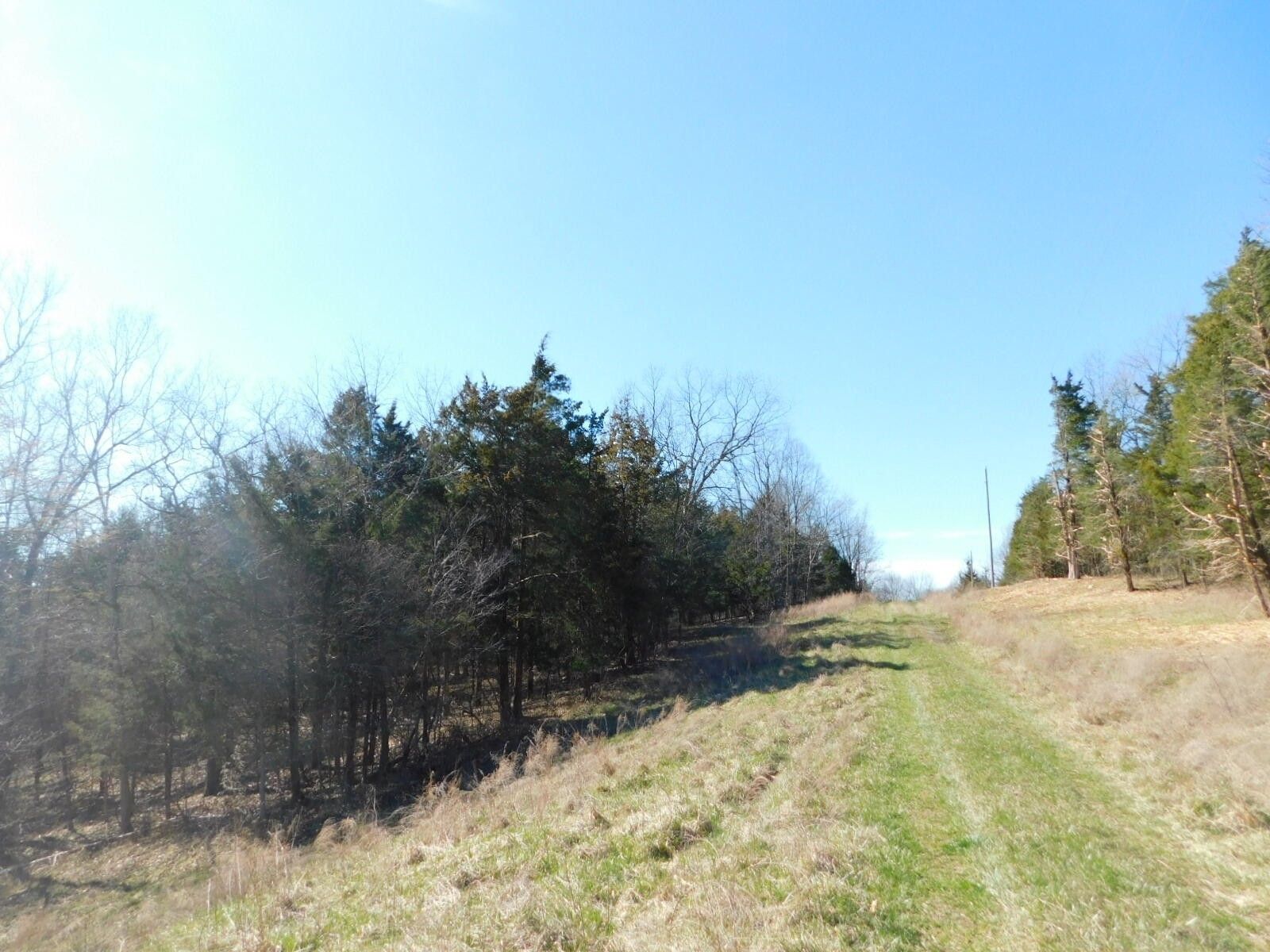 23.4 Acres, 1 Turkey Ridge Road, Corinth, KY 41010 | Land and Farm