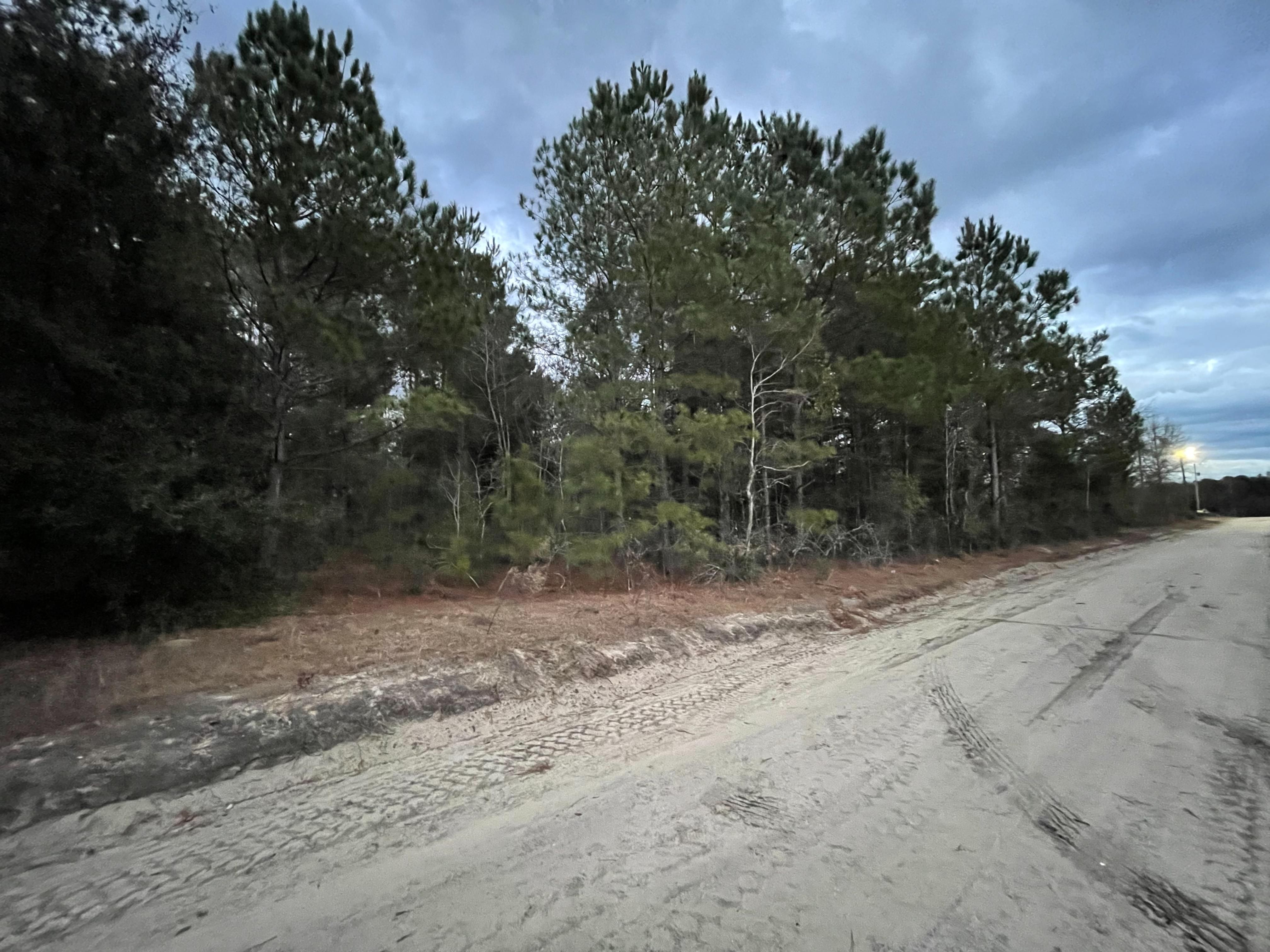 1.3 acres in Summerton, SC, 29148 | Land and Farm