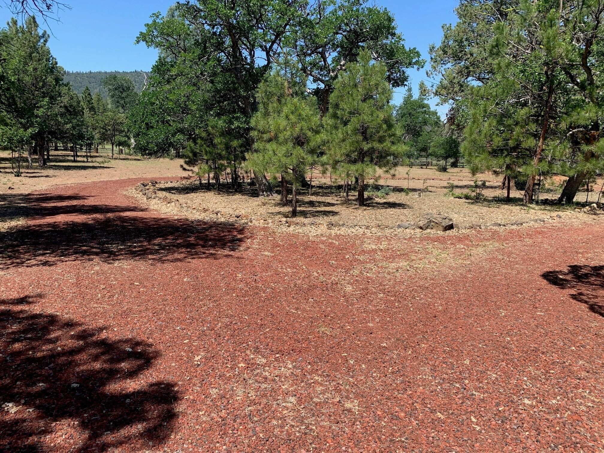 Shoshoni Loop, Fall River Mills, CA 96028 | MLS: 23-2398 | Land and Farm
