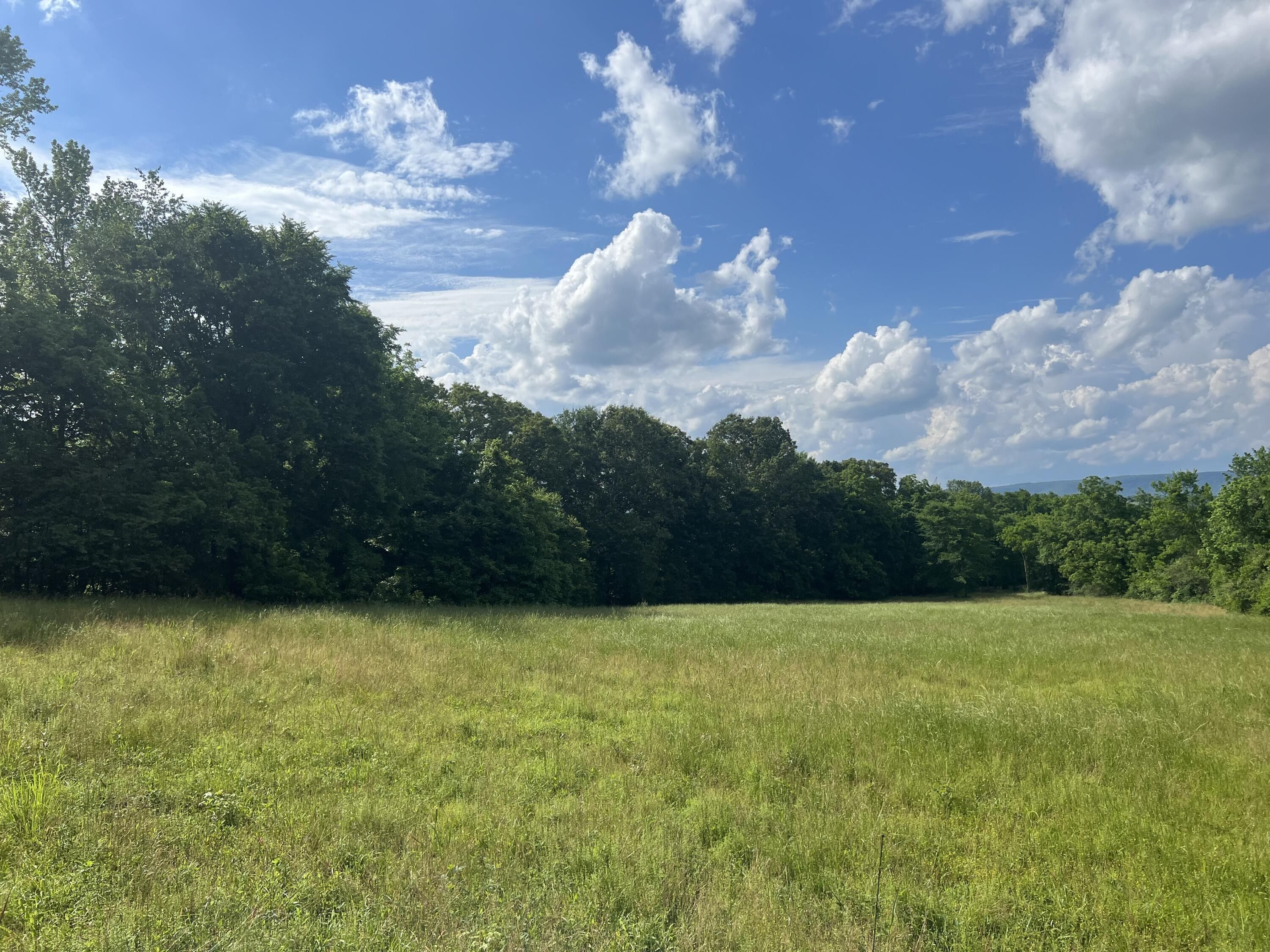 0 Bolton Rd, Jasper, TN 37347 | MLS: 1373573 | Land and Farm
