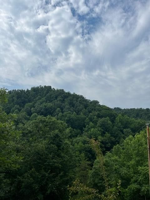 4562 Crane Creek Road, Manchester, KY 40962 | MLS: 23012607 | Land and Farm