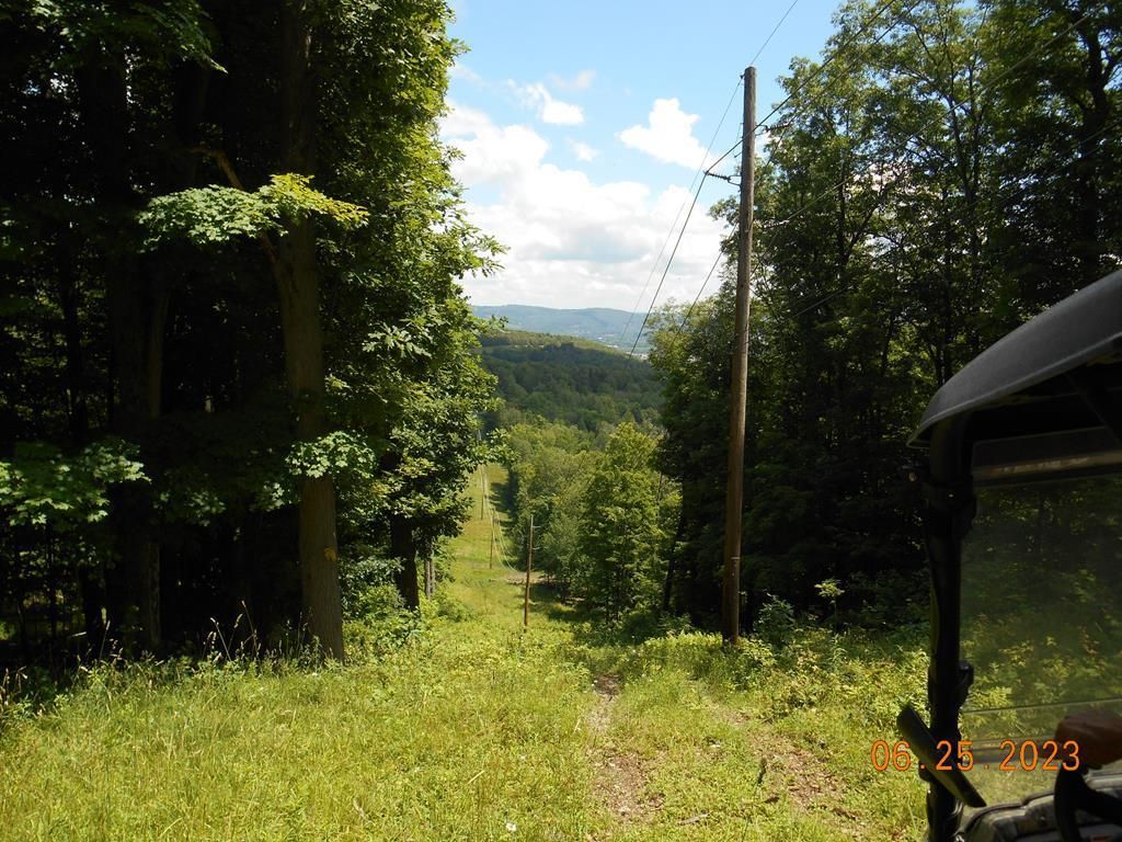 Centerville Road, Gillett, PA 16925 | MLS: ECARNY | Land and Farm