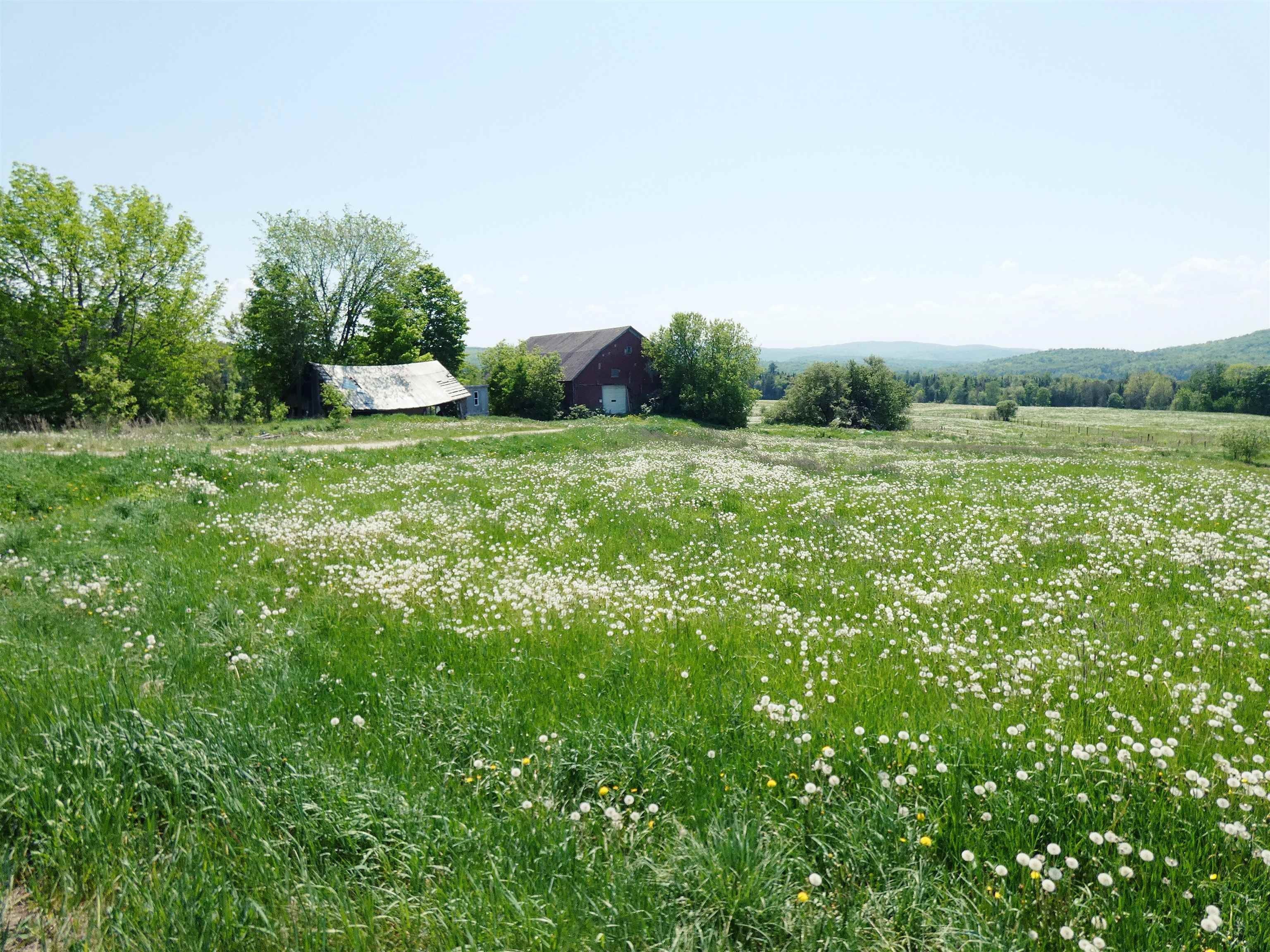 49.29 Acres, 4495 VT Rte 111, Morgan, VT 05853 | Land and Farm