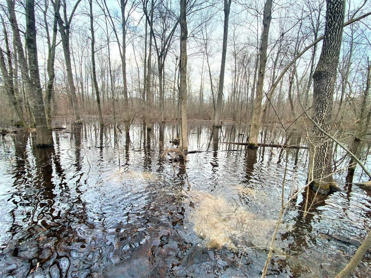 00 Highway 42, Hickory Ridge, AR 72347 | Land and Farm