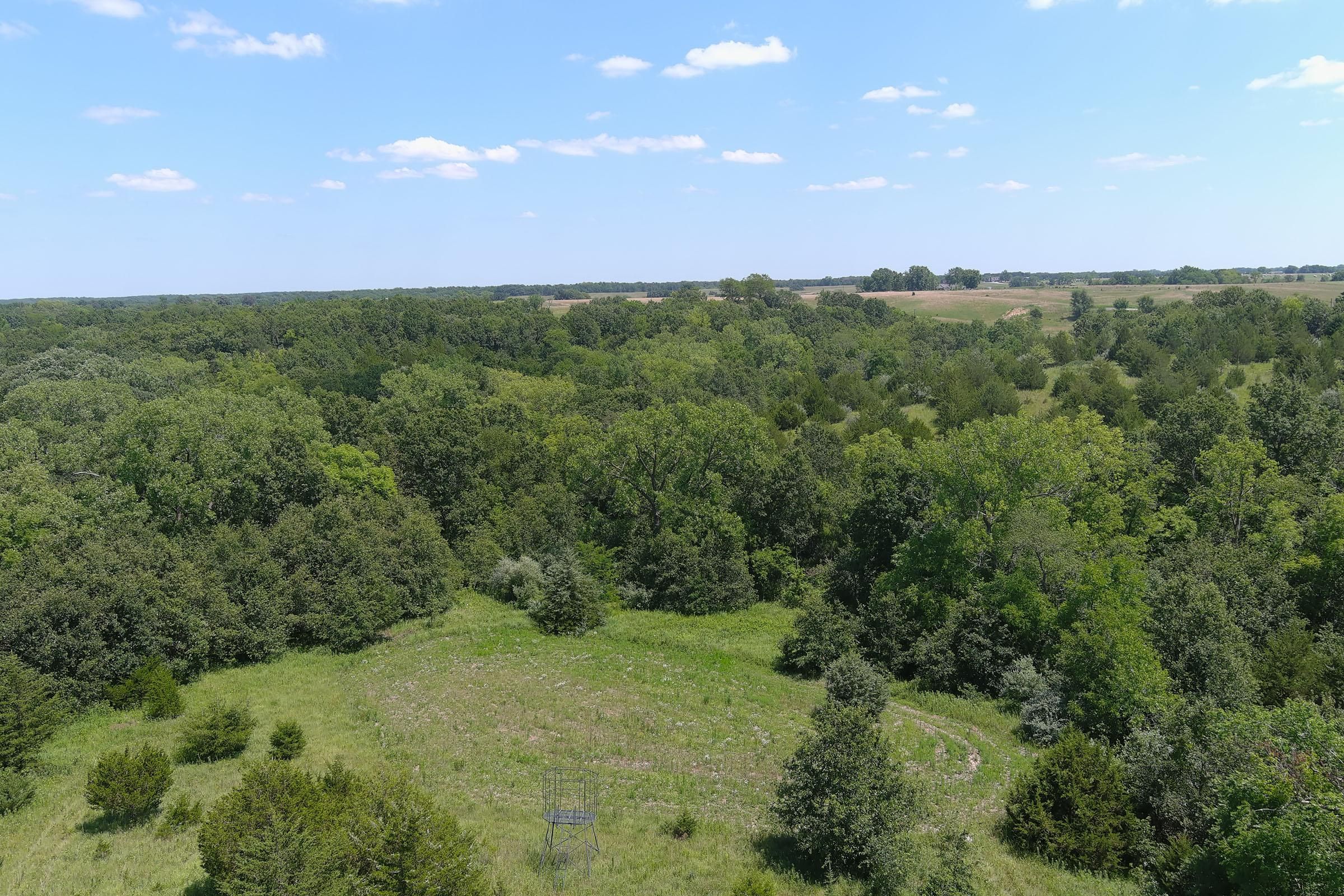 80 Acres, Hedge Drive, Green City, MO 63545 | Land and Farm