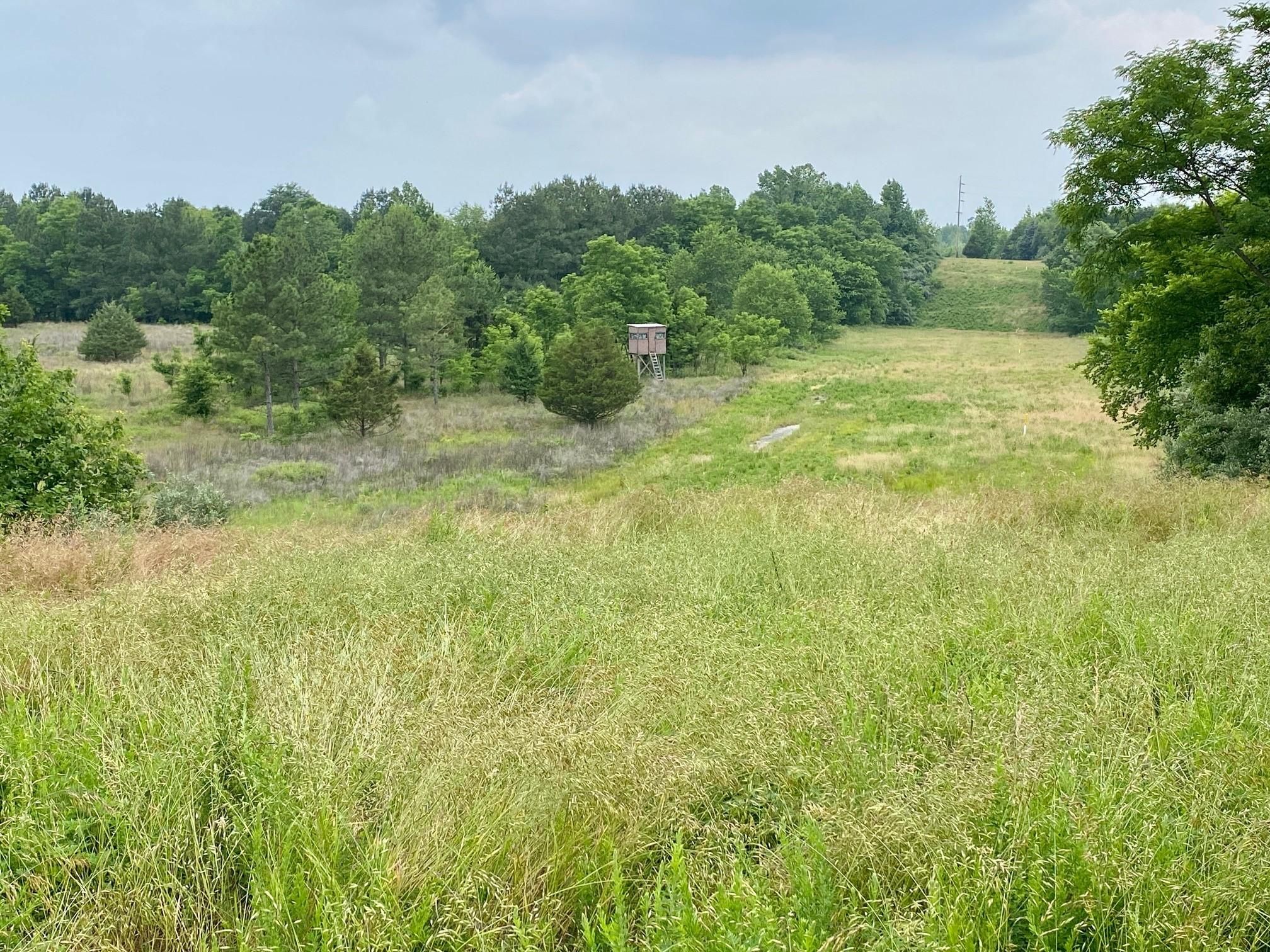 114.38 Acres, Bremen, KY 42325 | Land and Farm