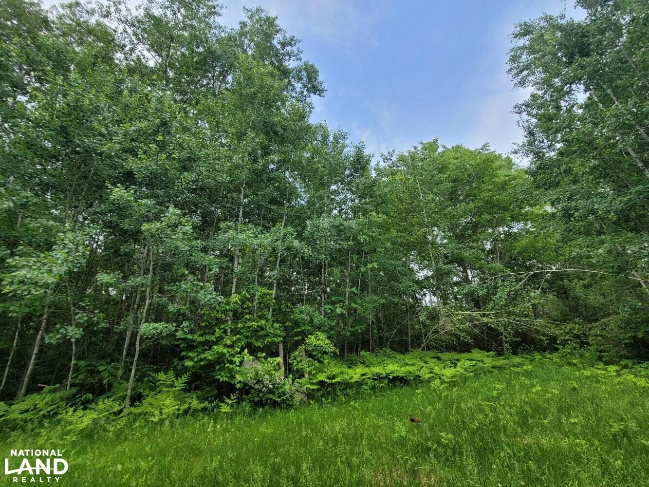 40 Acres, 0 269th Ave, Sebeka, MN 56477 | Land and Farm