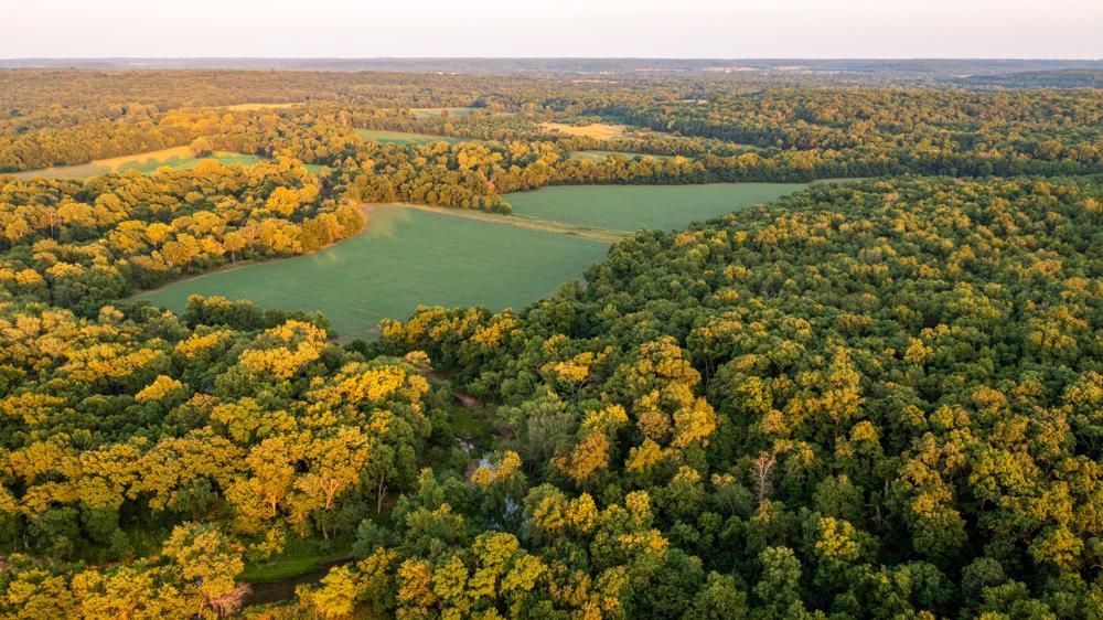 0000 Xavier Road, Mapleton, KS 66754 | MLS: Bourbon 160 | Land and Farm