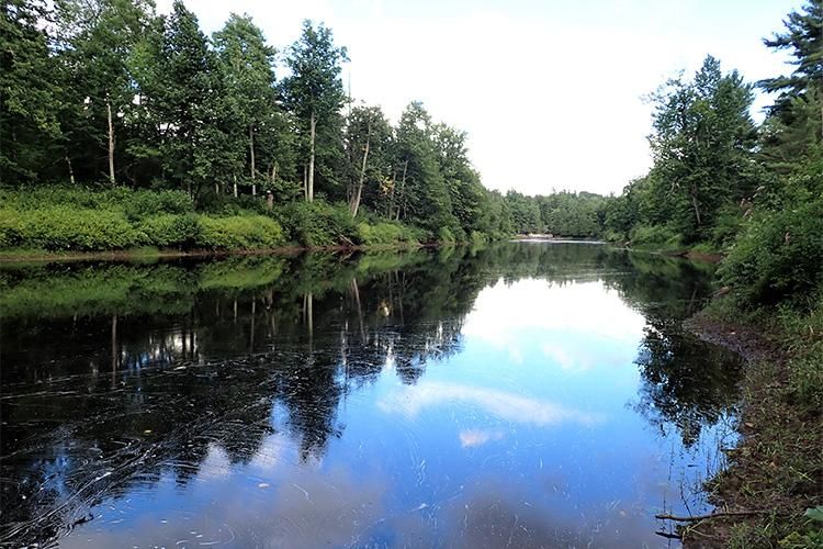 Stone Road, Fowler, NY 13648 | MLS: 48666 | Land and Farm