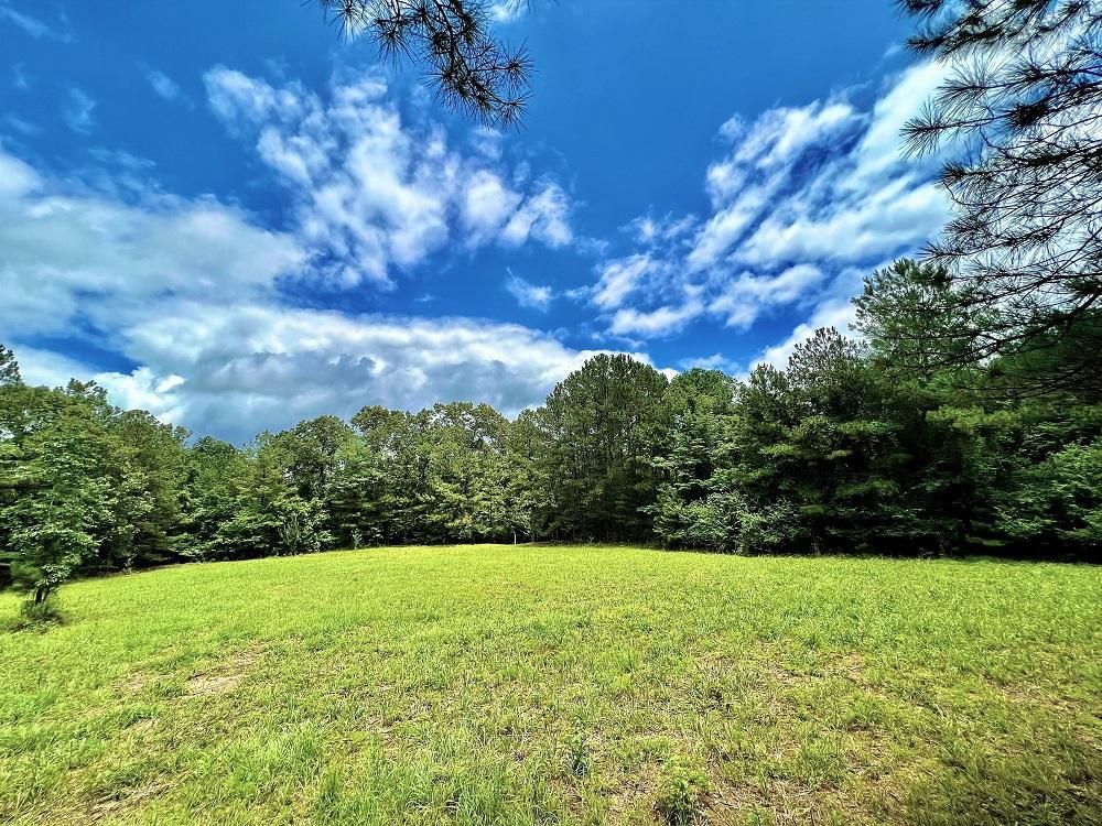12.7 acres in Butler, GA, 31039 | Land and Farm