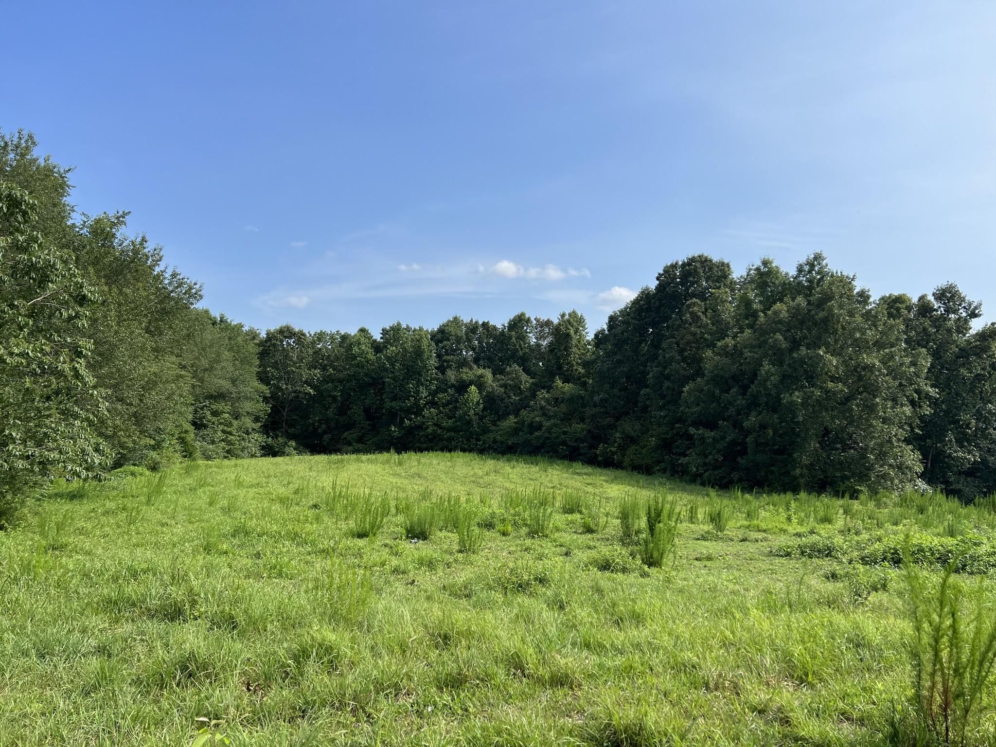 38 acres in Leoma, TN, 38468 | Land and Farm