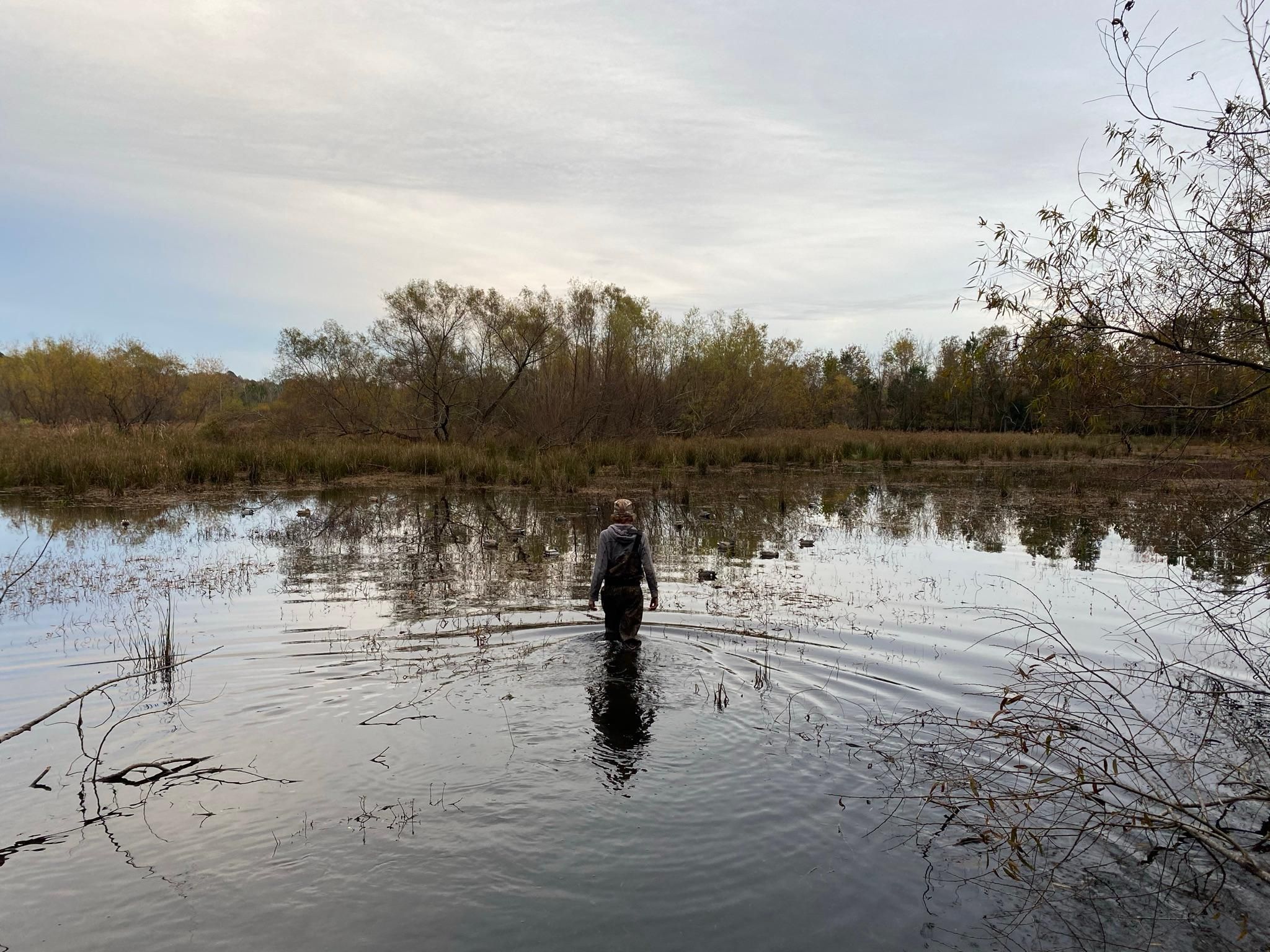 Furman Nixville Rd, Furman, SC 29918 | Land and Farm