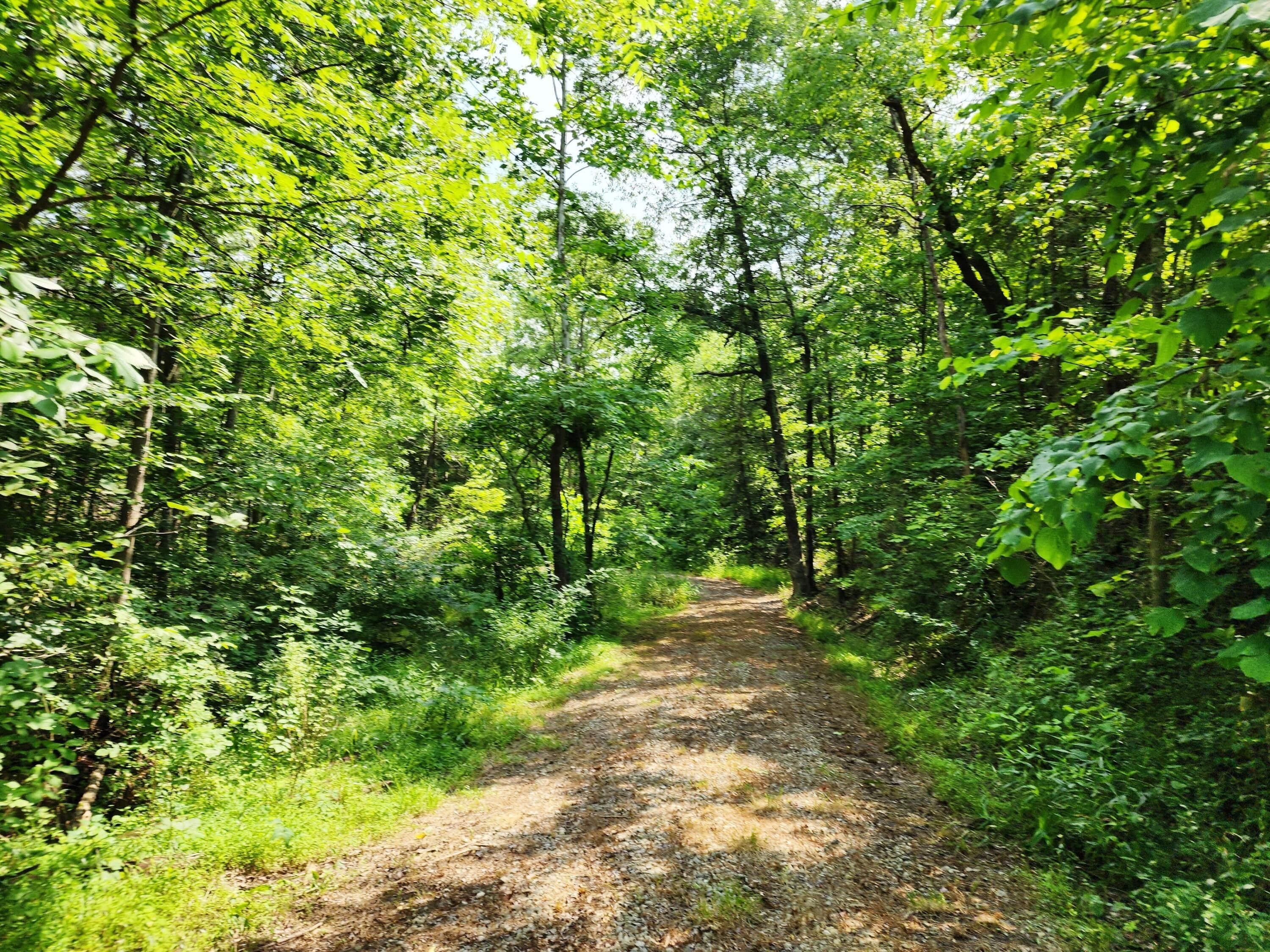 6 Acres, 0 Dickens Road, Oak Hill, OH 45656 | Land and Farm