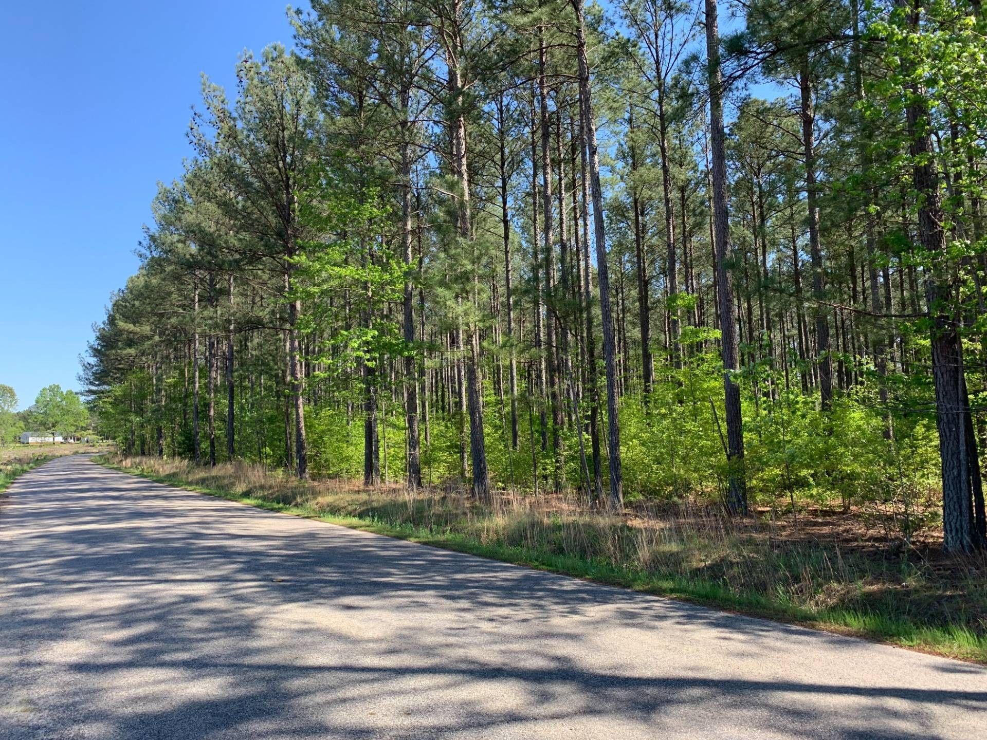 56.5 Acres, -- Five Notch Road, Greenwood, SC 29646 | Land and Farm