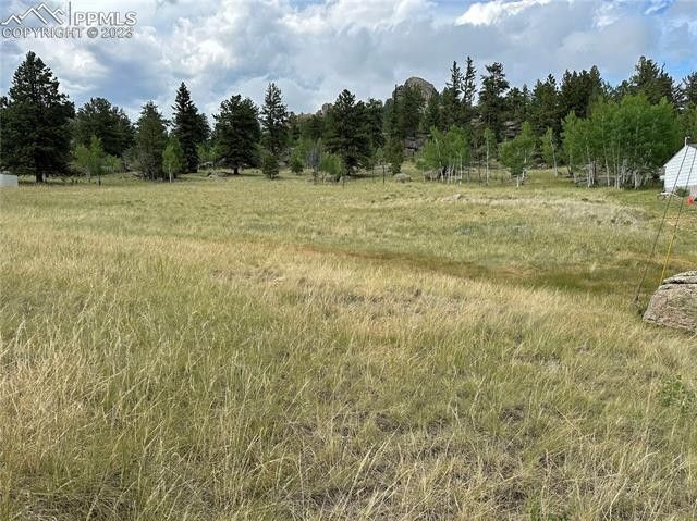 0.43 Acres, 0 Whale Drive, Lake George, CO 80827 | Land and Farm
