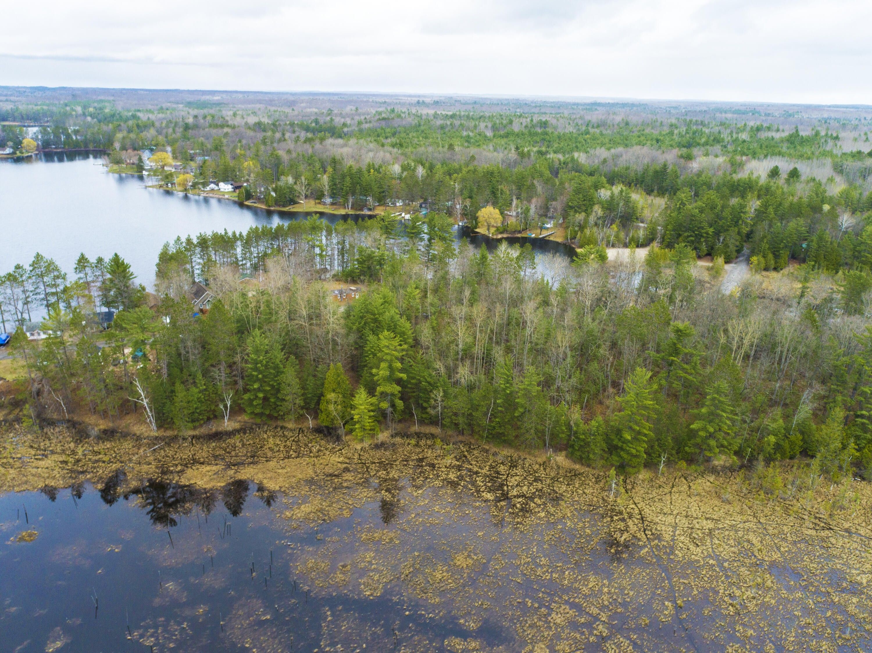 Lake Nettie Road, Hawks, MI 49743 | MLS: 201822500 | Land and Farm