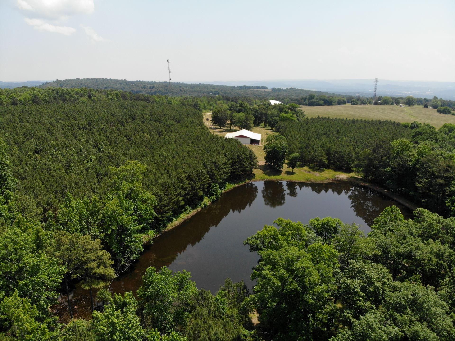 111 acres in Nectar, AL, 35079 | Land and Farm