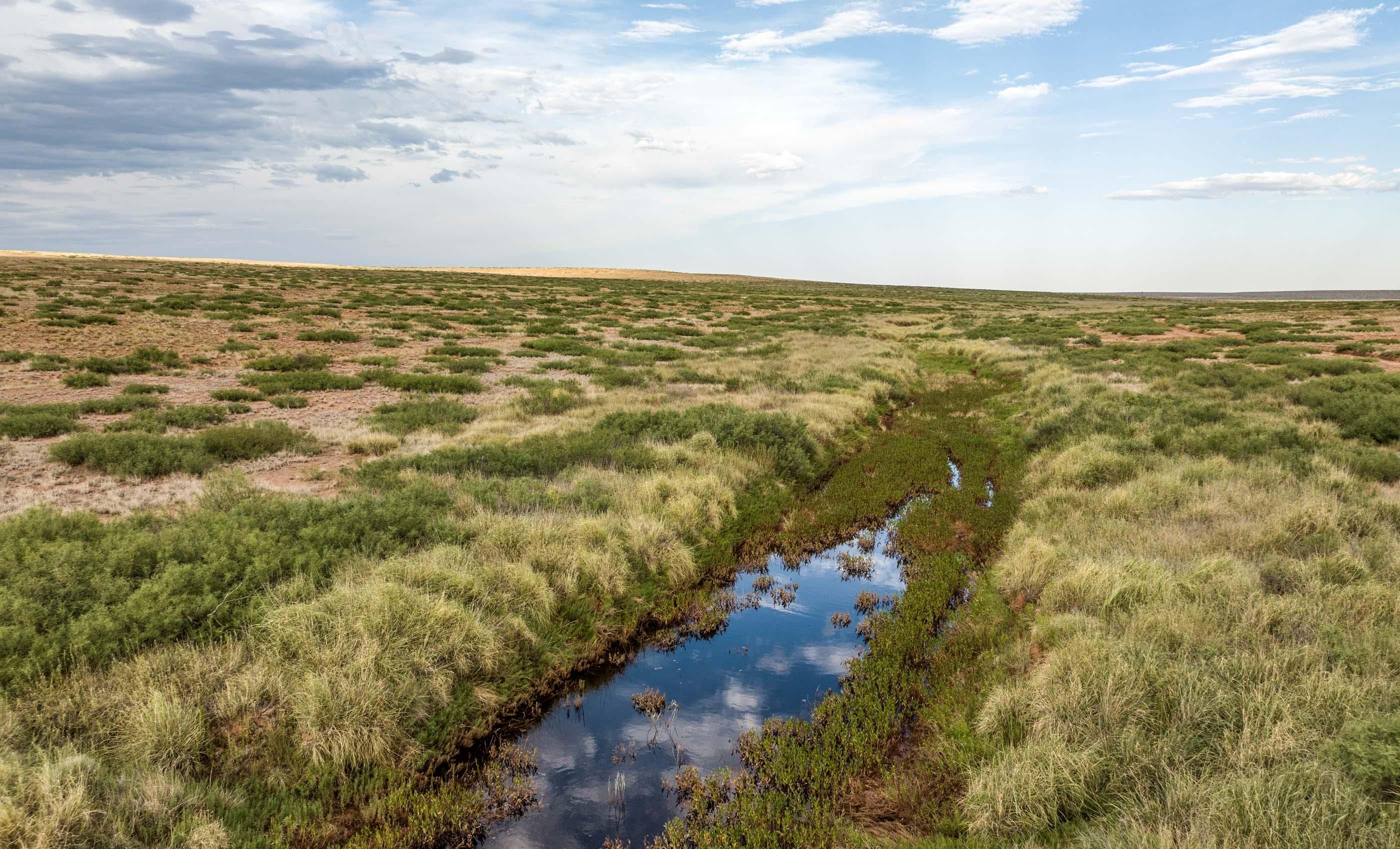 70,209 Acres, Roswell, NM 88201 | Land and Farm