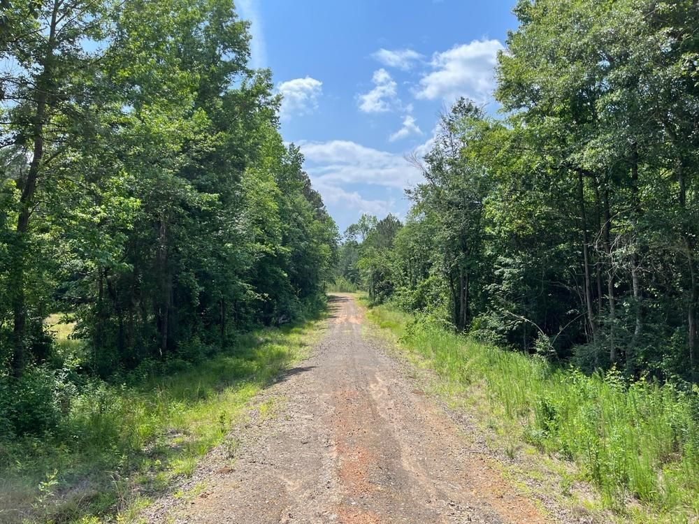00000 Hwy 43 North, Northport, AL 35475 | Land and Farm