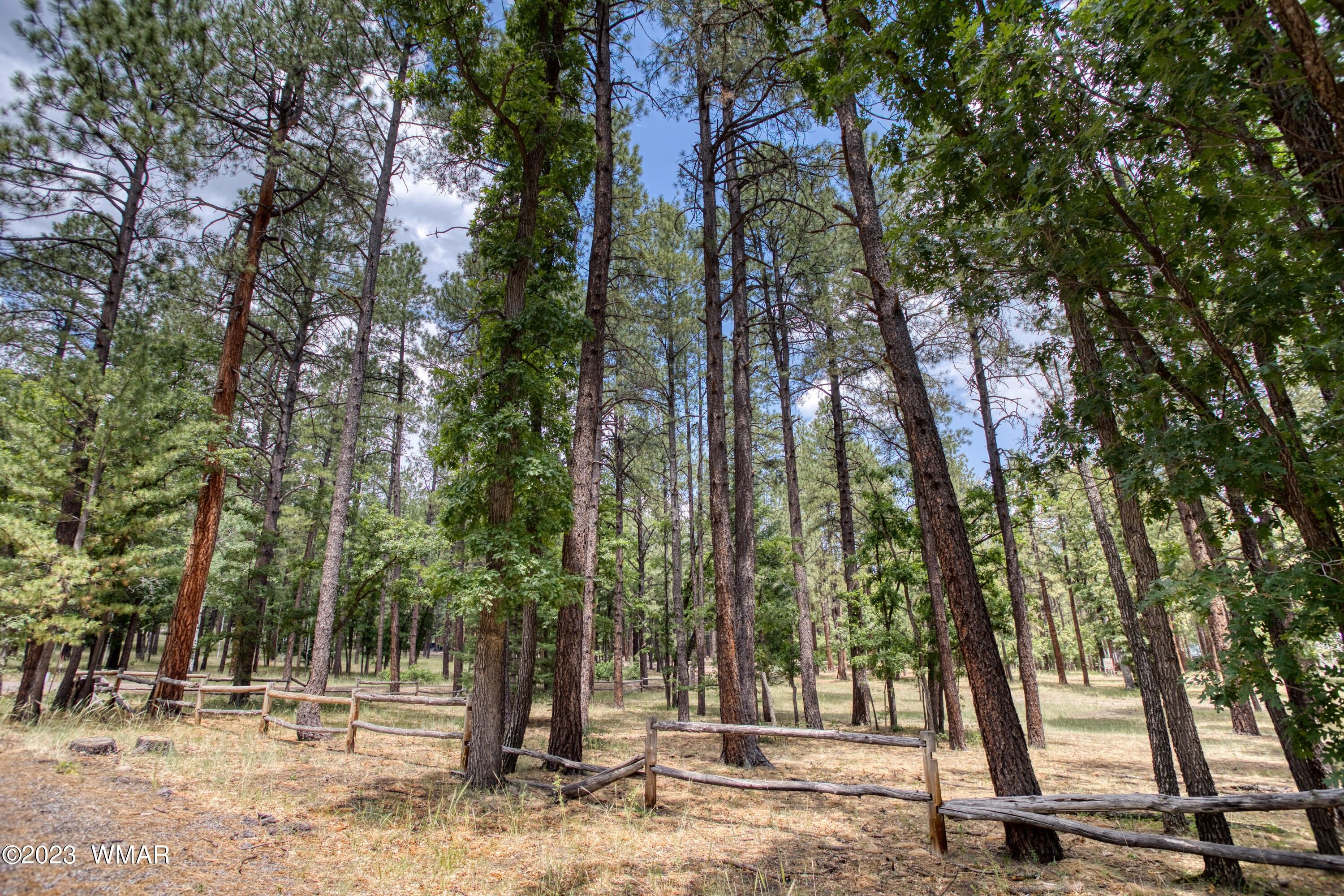 2.32 Acres, 4 Colorados Lane, Alpine, AZ 85920 | Land and Farm