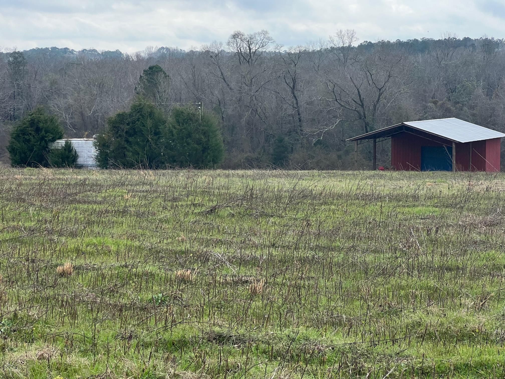 Mavis Carroll Road, Clio, AL 36017 | Land and Farm