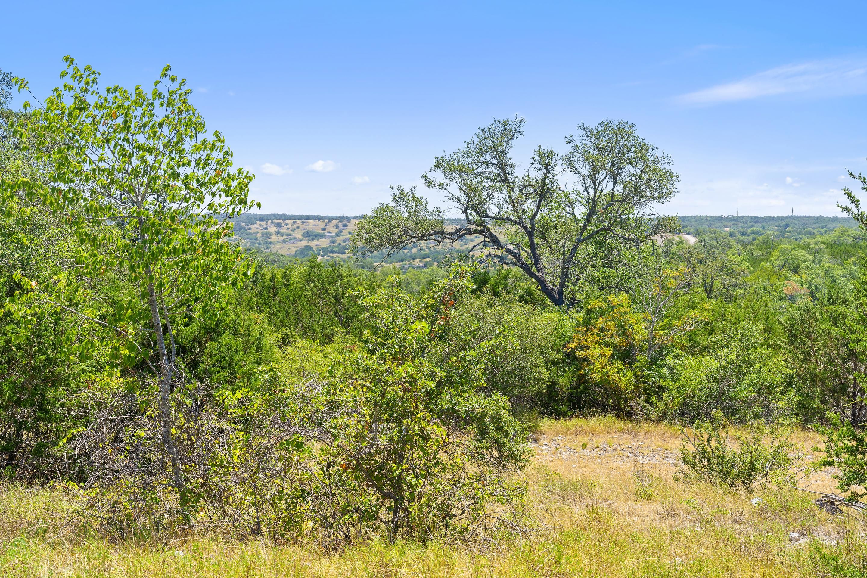 Tract 1 Skyline Dr, Albert, TX 78671 | Land and Farm