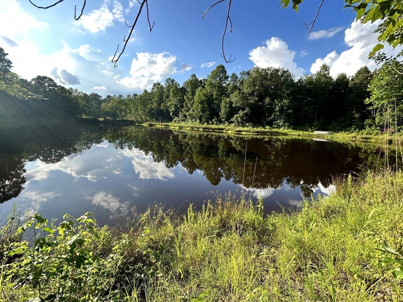 Savannah Lake Rd, Maben, MS 39750 | MLS: 23-1386 | Land and Farm