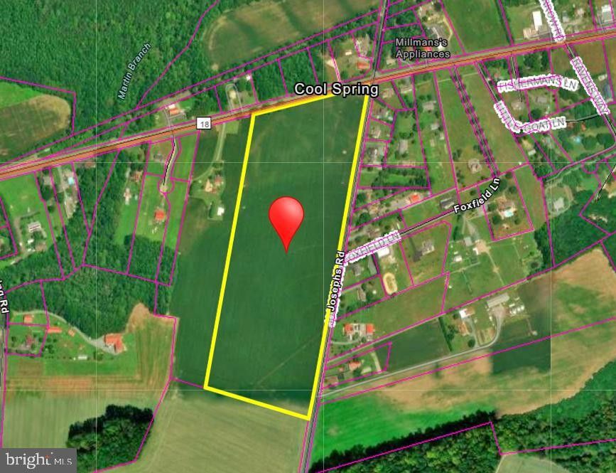 37.37 Acres, TBD LEWES GEORGETOWN HIGHWAY, Milton, DE 19968 | Land and Farm