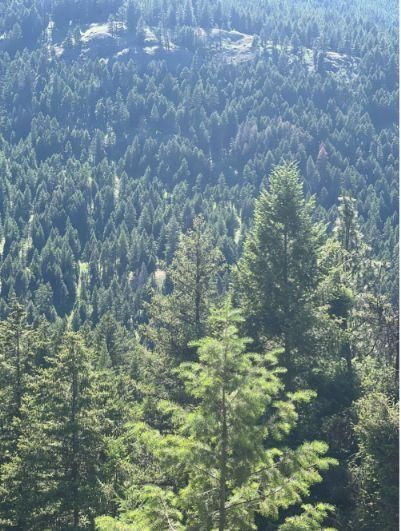 20 acres in Wauconda, WA, 98859 | Land and Farm