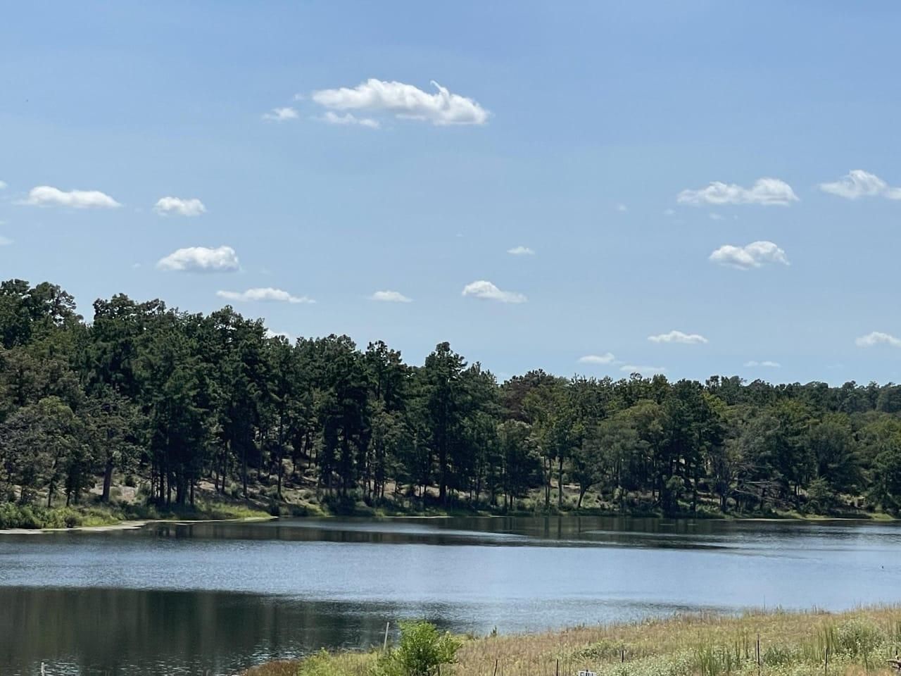 2.01 Acres, Three Lakes Ranch, Centerville, TX 75833 | Land and Farm