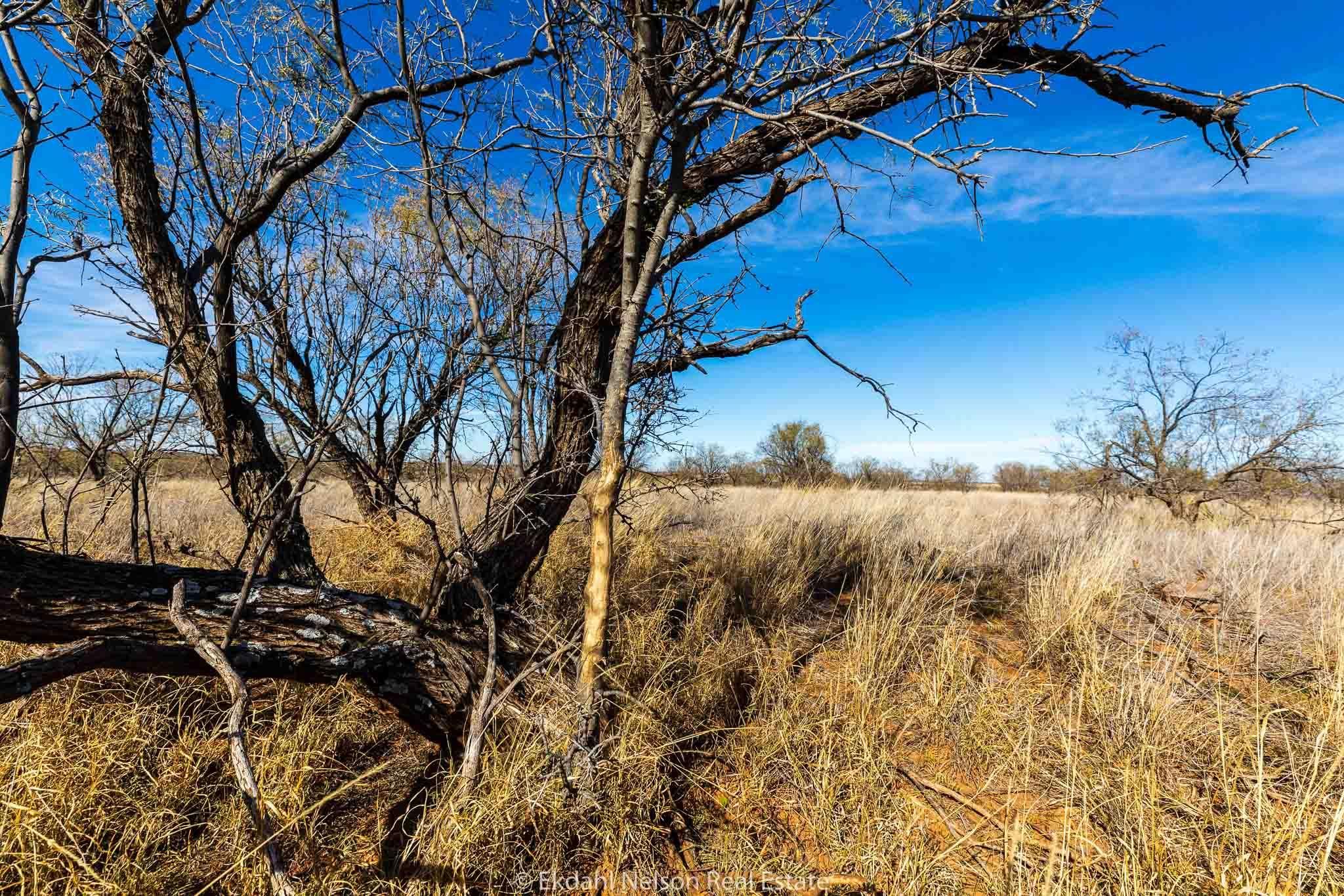 534.61 Acres, County Road 340, Aspermont, TX 79502 | Land and Farm