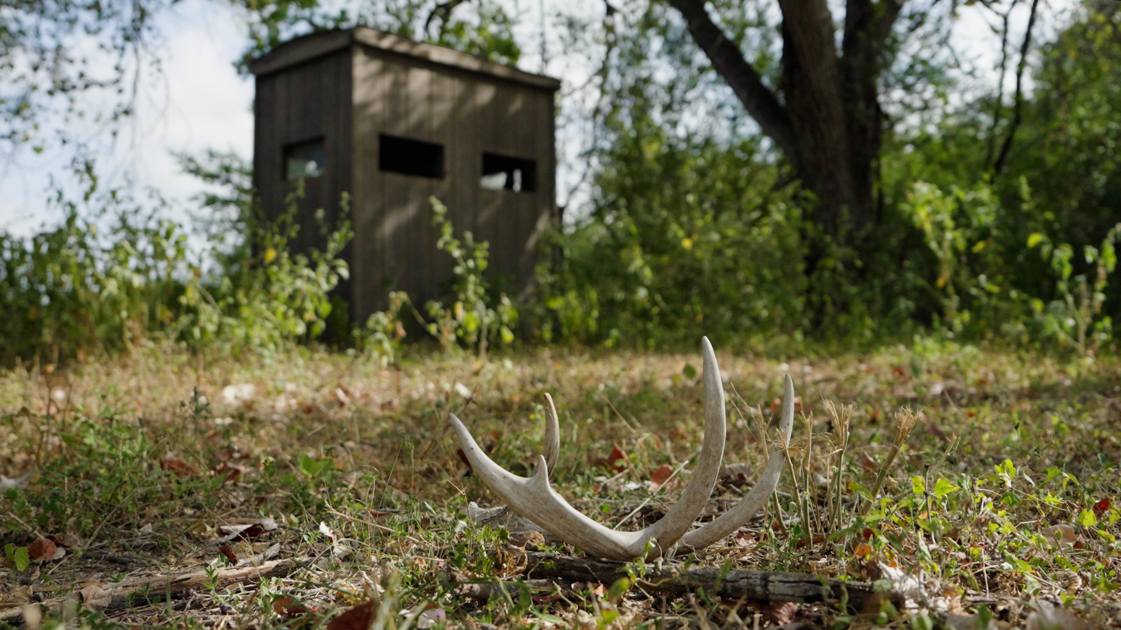 22009 CR 1664, Mathis, TX 78368 | Land and Farm