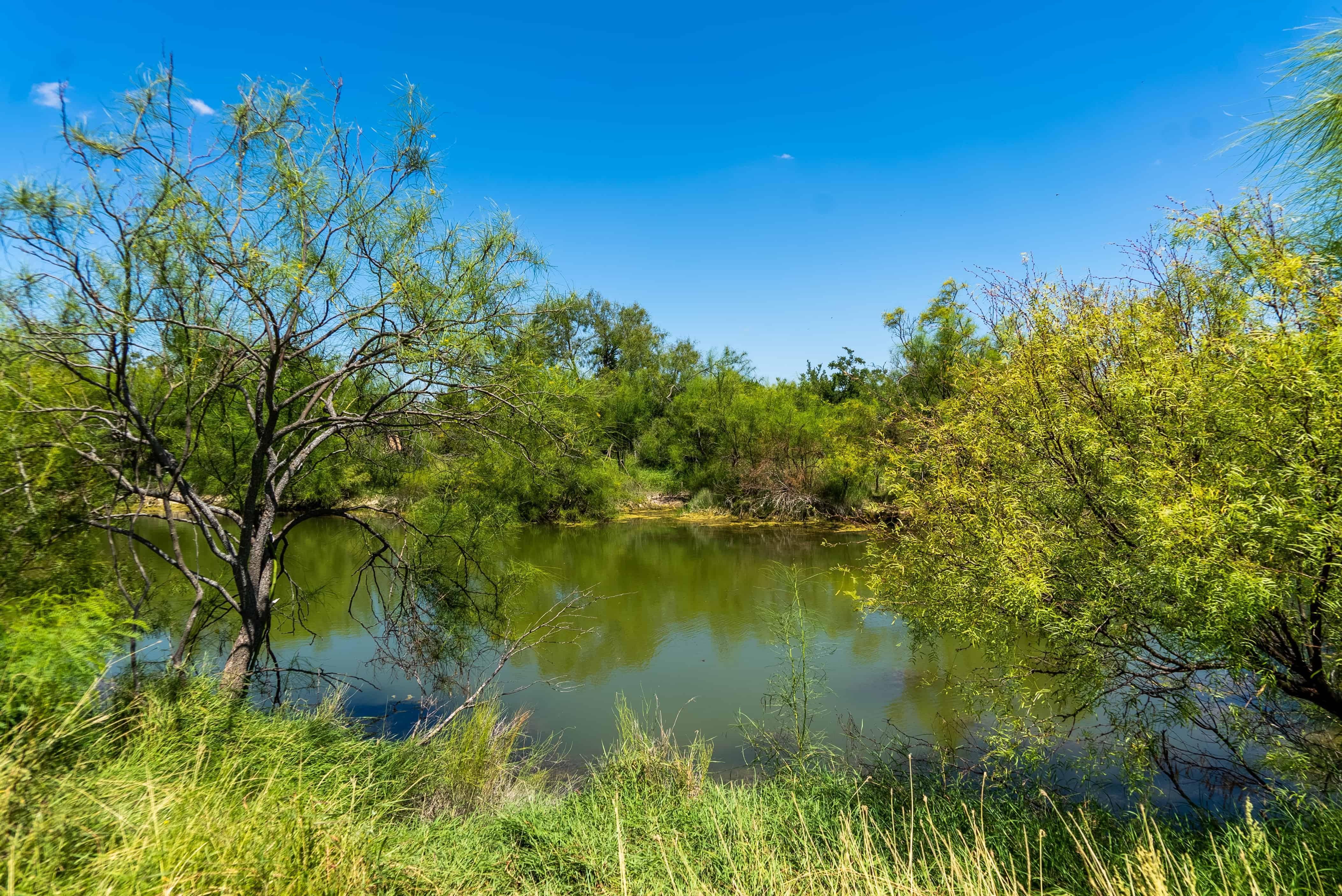 FM1025, Crystal City, TX 78839 | Land and Farm