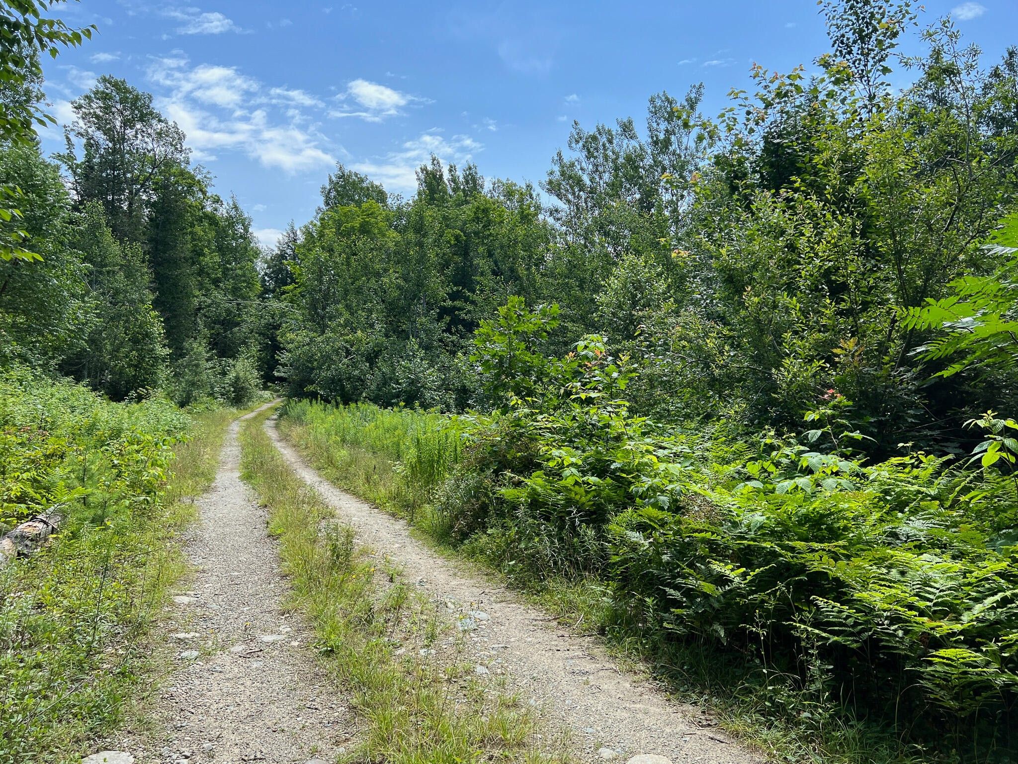 18 Acres, M2 L23-4 Bill Green Pond Road, Lee, ME 04455 | Land and Farm