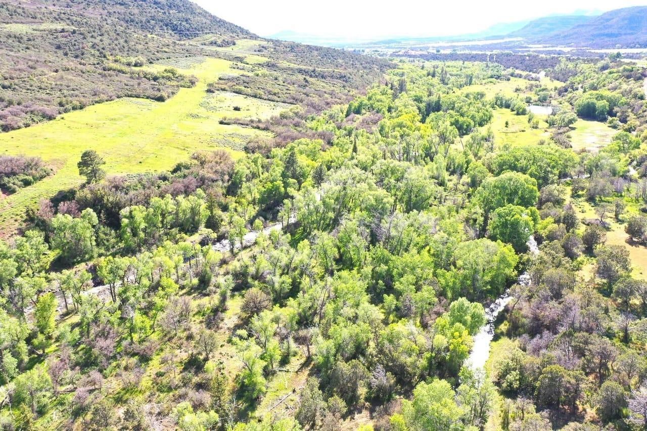 535 Acres, 62551 Highway 330, Collbran, CO 81624 | Land and Farm