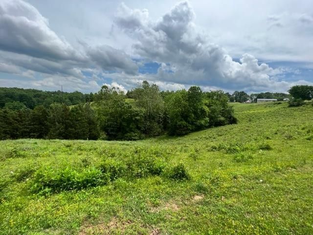 10.28 Acres, Tract 1 Clay Co Hwy, Moss, TN 38575 | Land and Farm