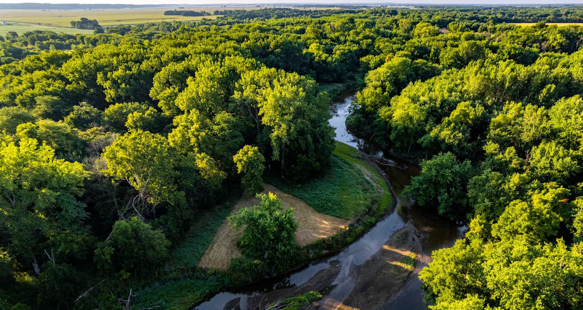 66.88 Acres, Illinois 17, New Boston, IL 61272 | Land and Farm