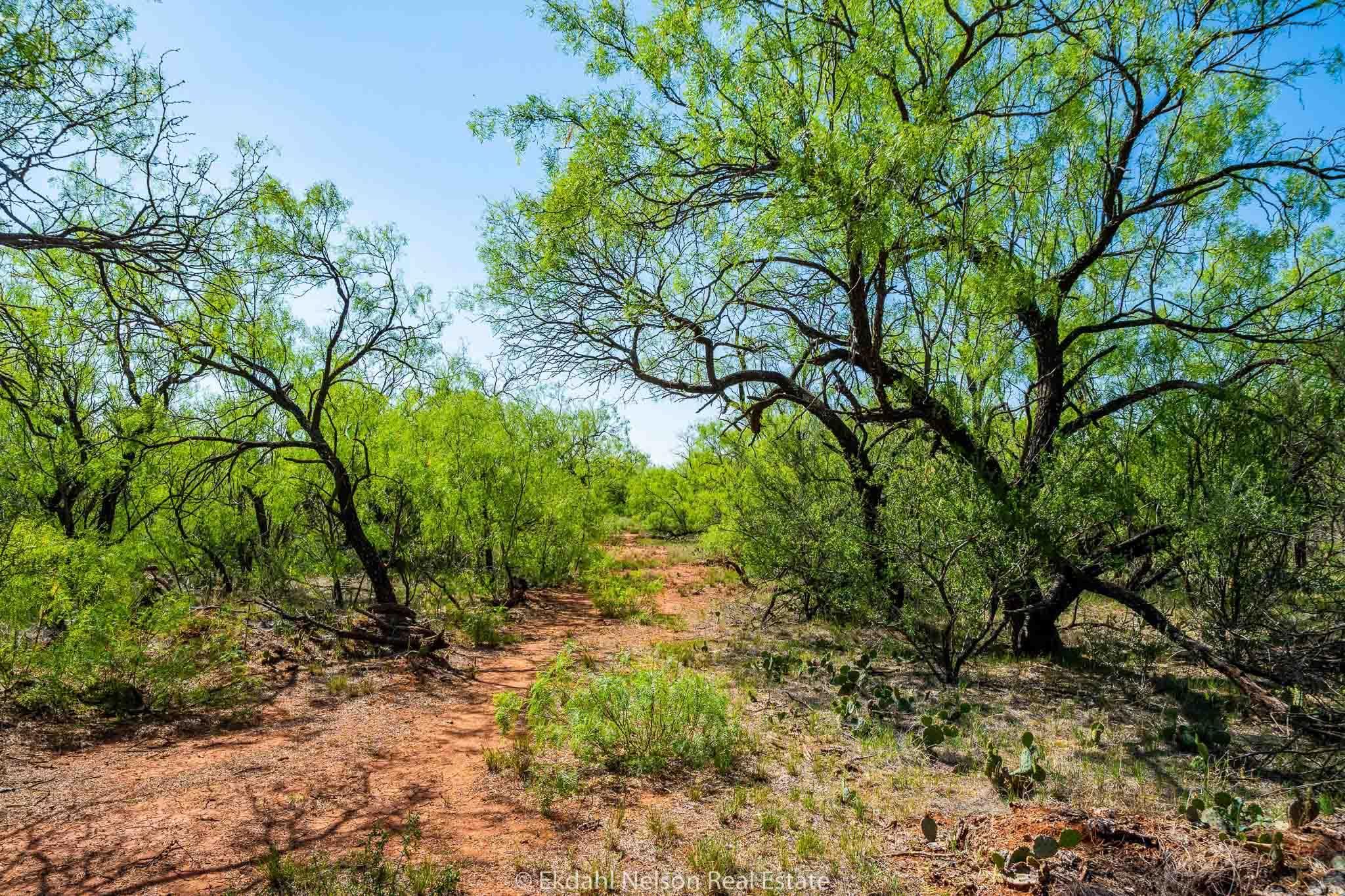 FM600, Haskell, TX 79521 | Land and Farm