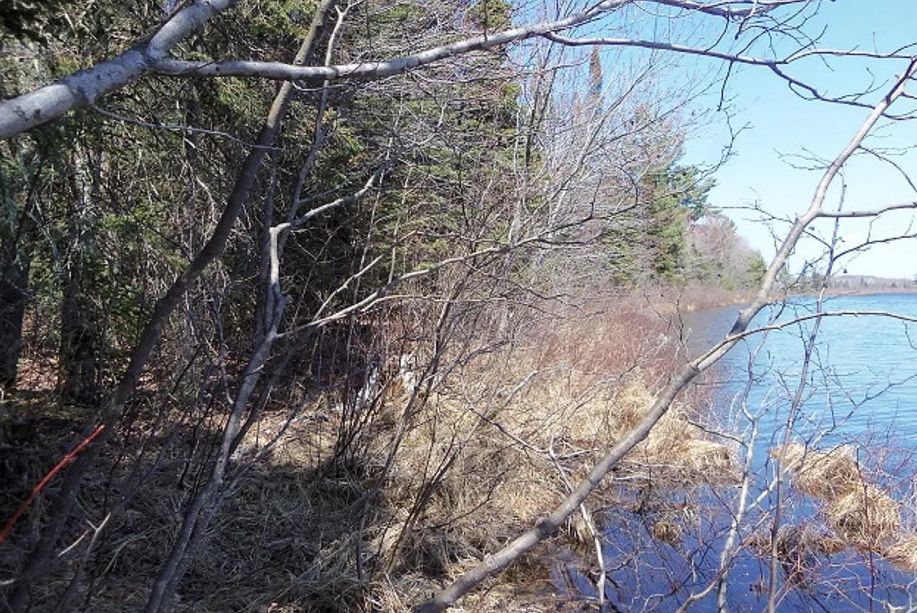 5.5 Acres, Rushton Rd, Central Lake, MI 49622 | Land and Farm