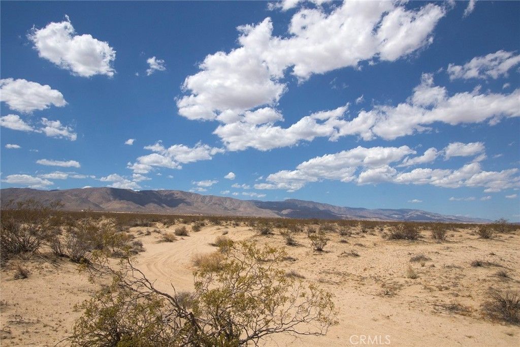 6420 Pine Road, Johnson Valley, CA 92285 | MLS: JT23155534 | Land and Farm