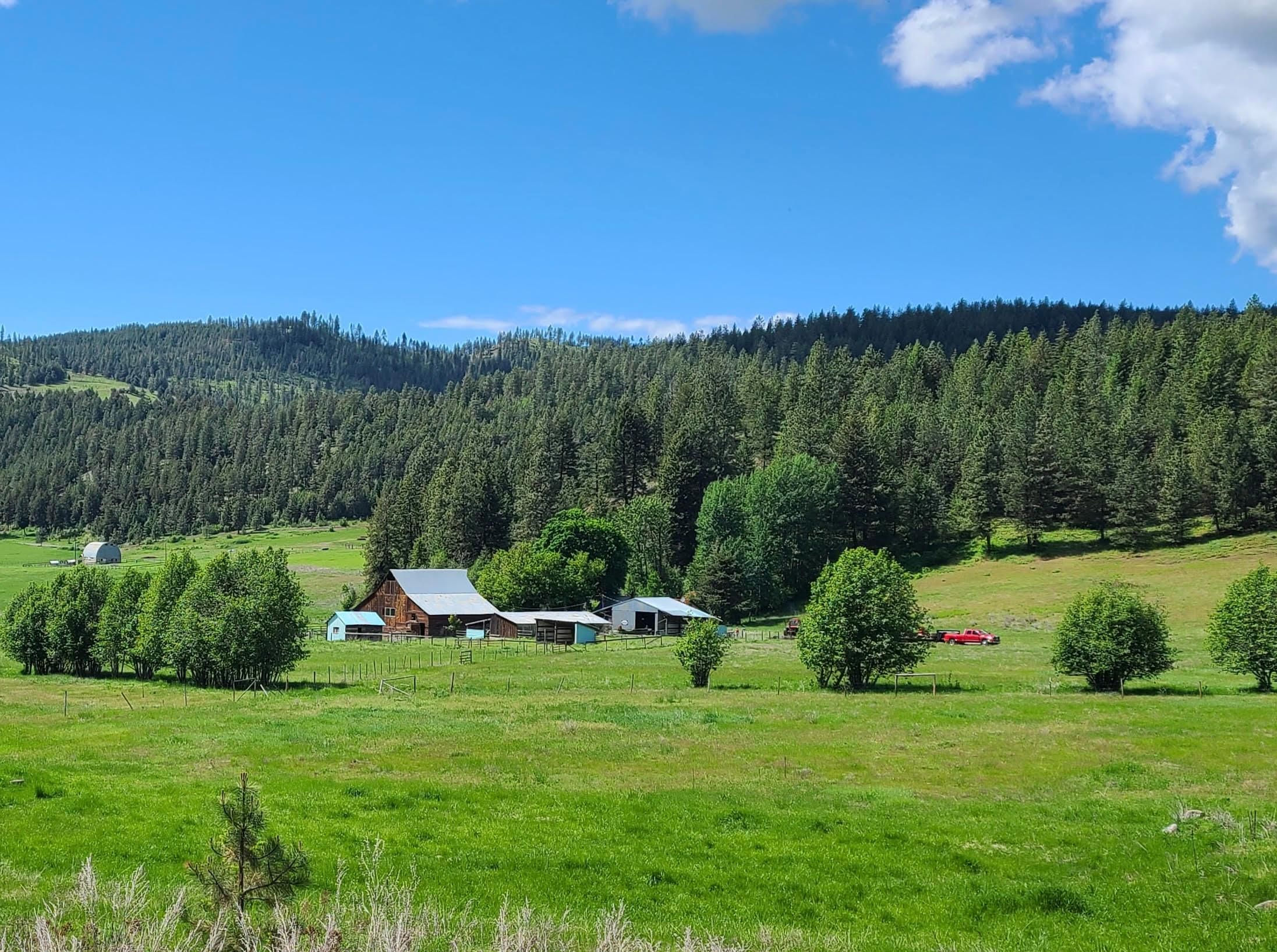 3114 Old Baldy Road, Rice, WA 99167 | MLS: StrCrk358 | Land and Farm