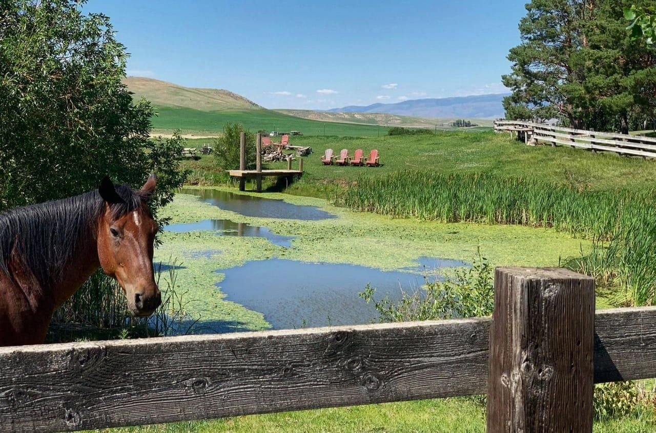 282 Acres, 2004 Granger Rd., Indian Valley, ID 83632 | Land and Farm