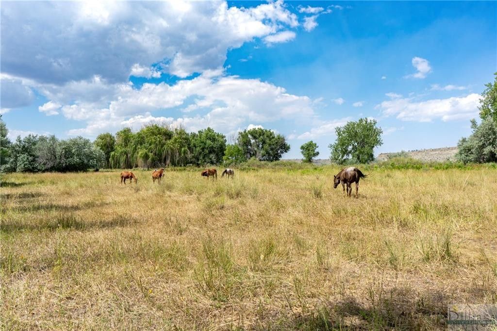 10.14 Acres, 00 82nd Street W, Billings, MT 59102 | Land and Farm