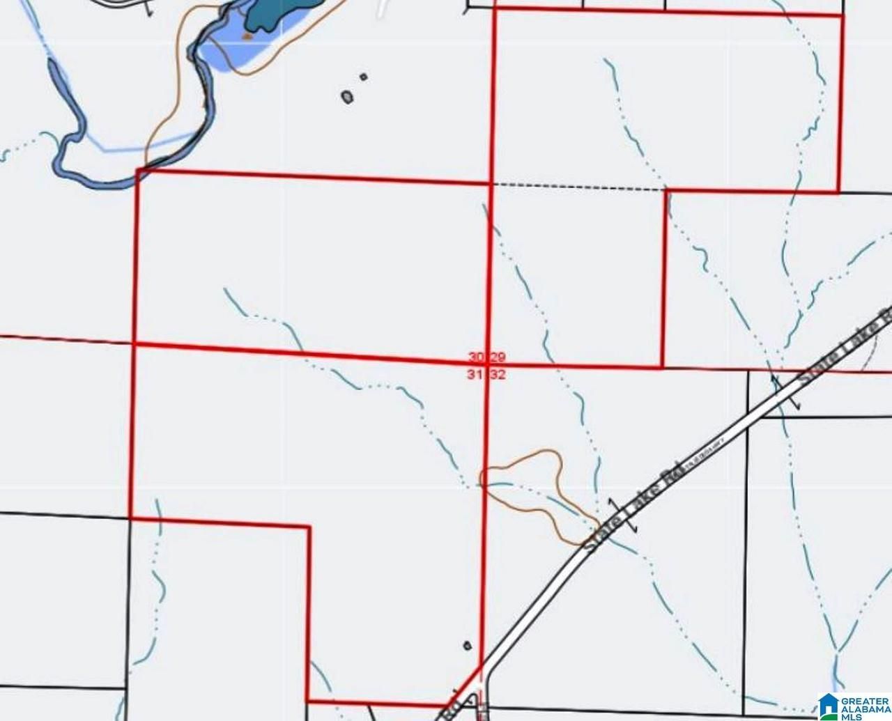 State Lake Road, Delta, AL 36258 | MLS: 1362435 | Land and Farm