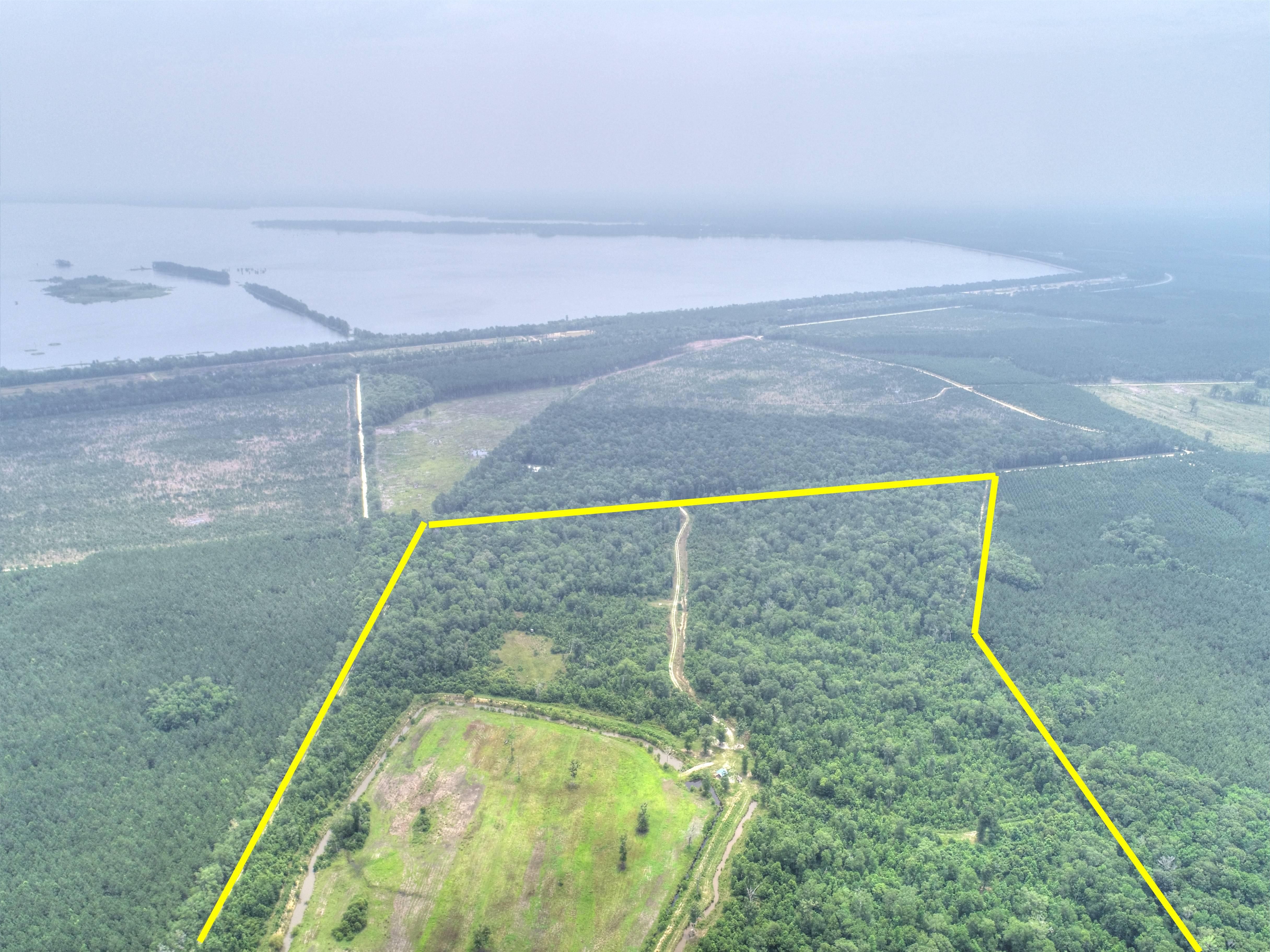 909 Getaway Lane, Pinopolis, SC 29469 | MLS: 23013645 | Land and Farm